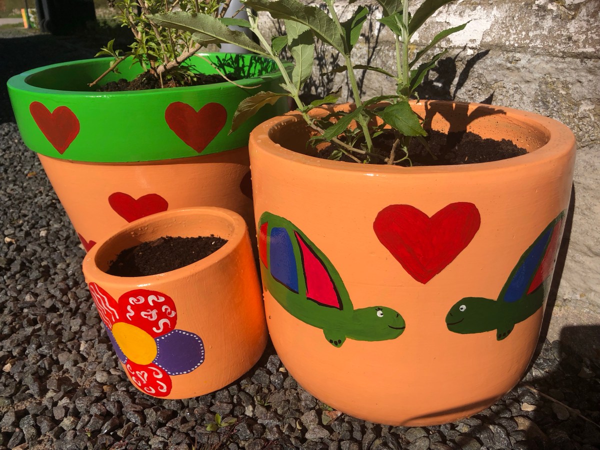 The turtles – how about that? – A Sleepy Spirit Art